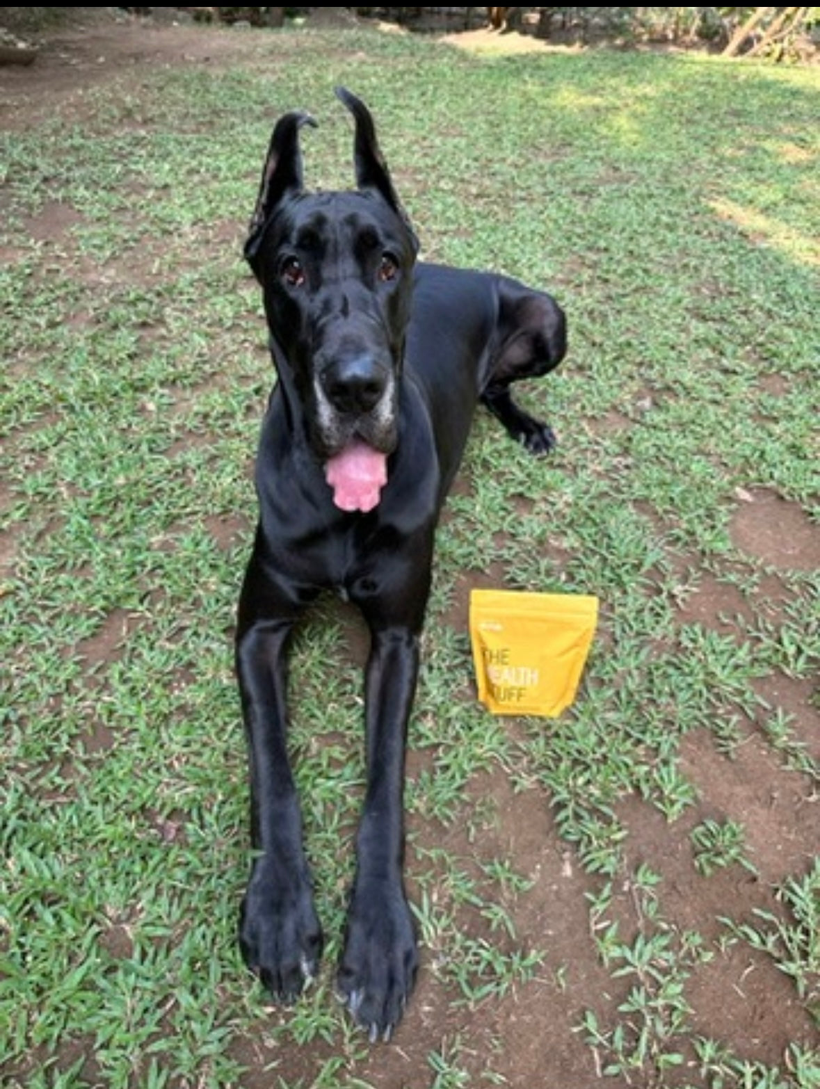 McDuffy - Official Site