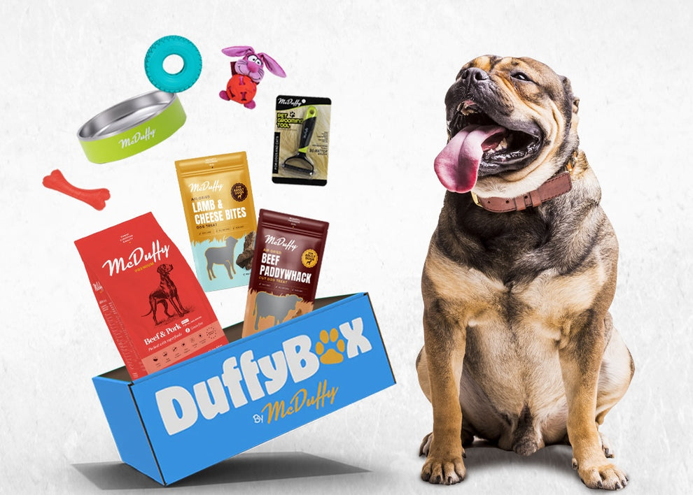 McDuffy - Official Site